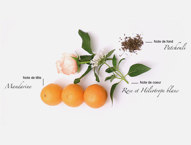 Qu'est-ce qu'une pyramide olfactive et quelles sont les notes dans le ...